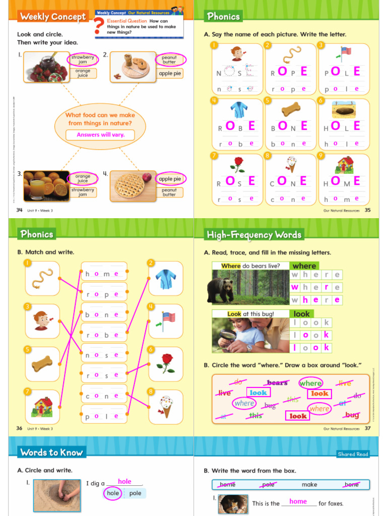 Unit 9 Week 3 Practice Book Answer Key | PDF