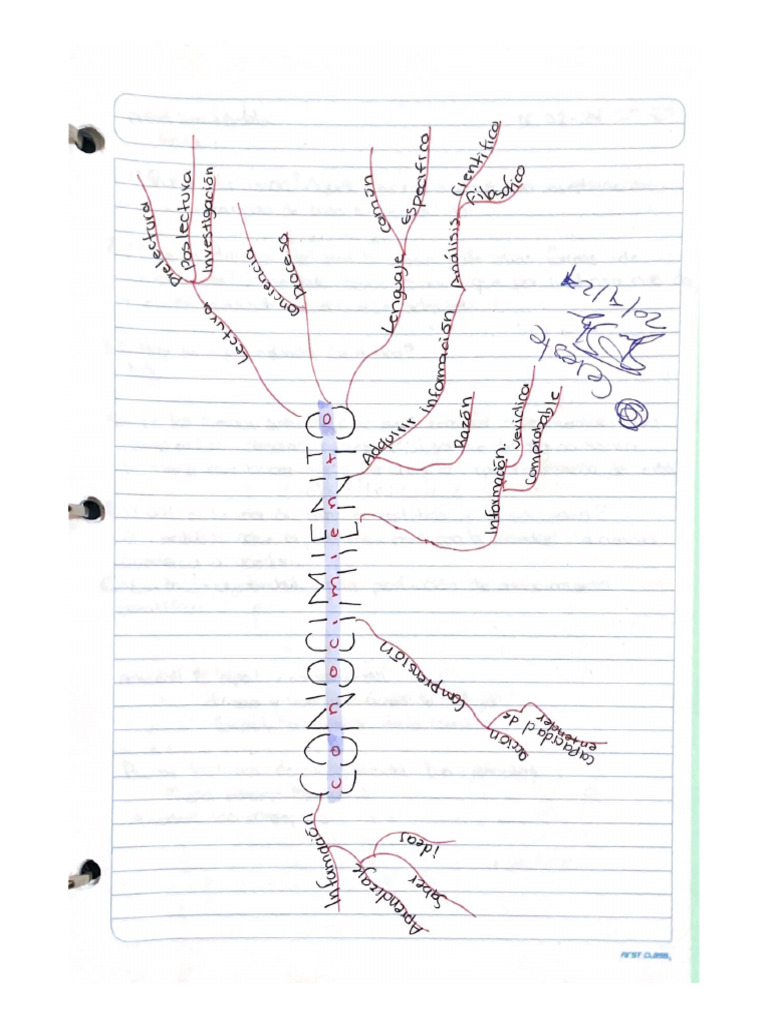 Mapa Mental, Conocimiento. | PDF