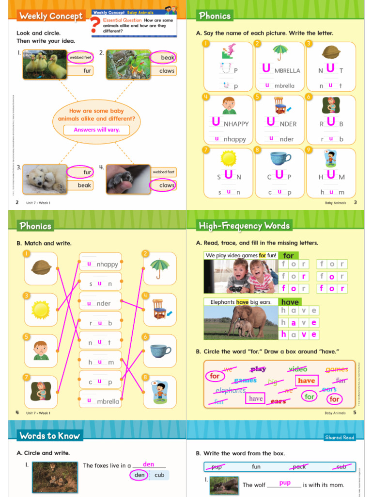 Unit 7 Week 1 Practice Book Answer Key | PDF