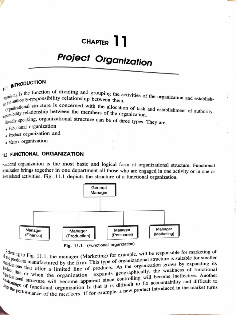Organisation Structure | PDF | Organizational Structure | Project Management