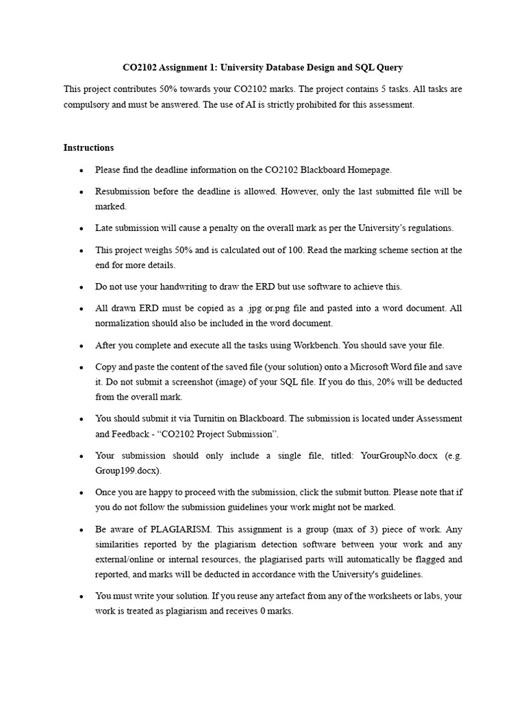 CO2102 2024 Group Assignment | PDF