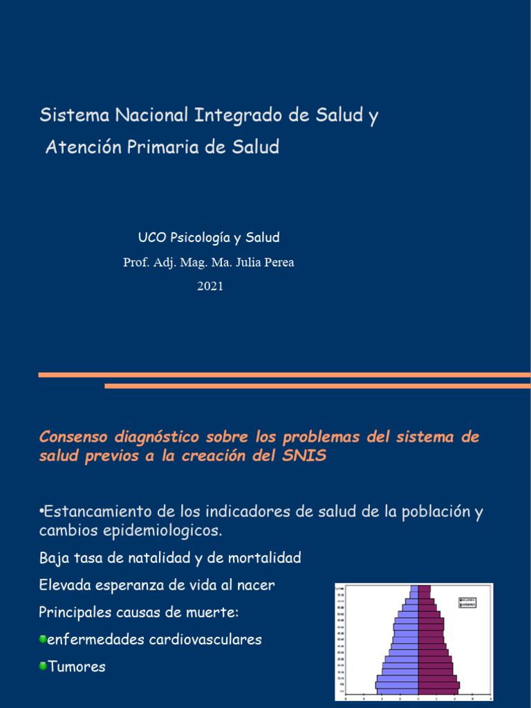 Aps Snis | PDF | Accesibilidad