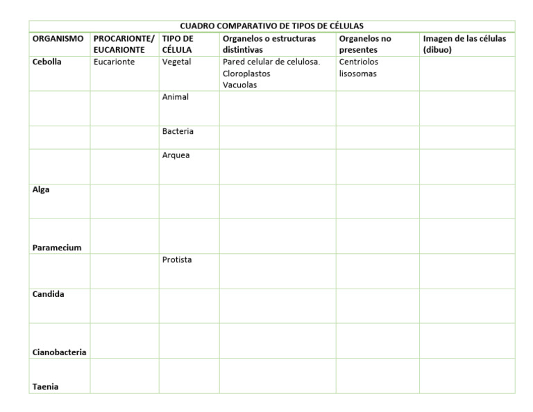 Cuadro Comparativo de Tipos de Células | PDF
