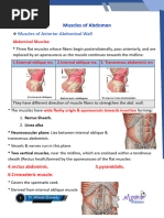 Pelvic Rocking Exercises for Women | PDF | Pelvis | Abdomen