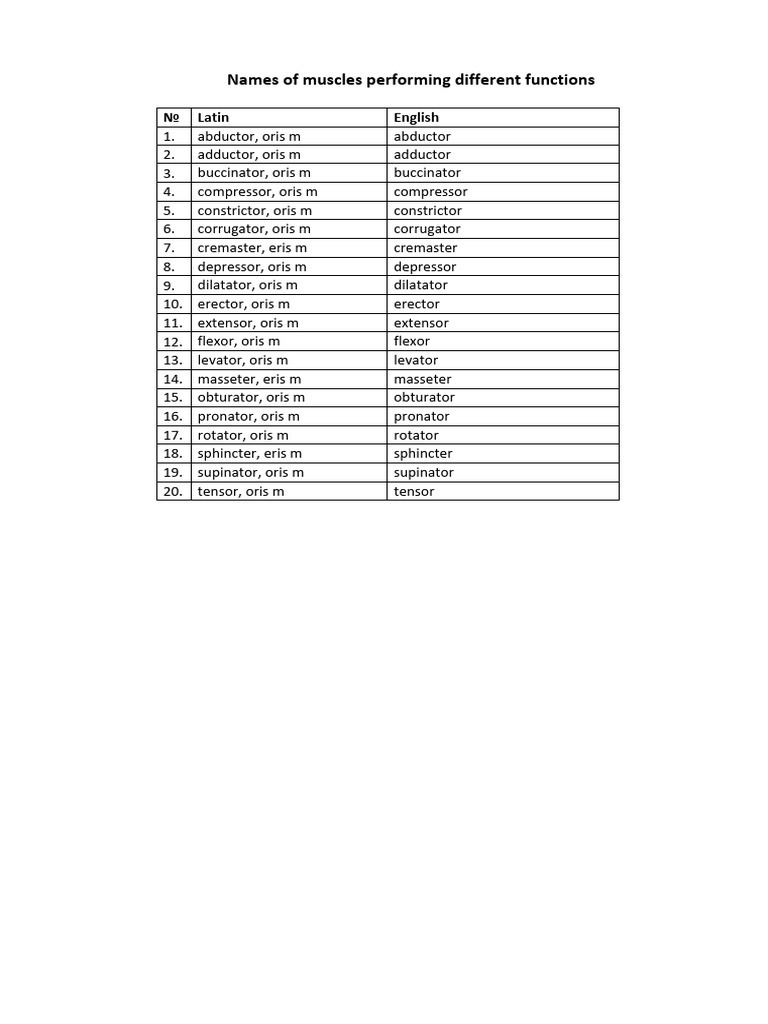 Names of Muscles | PDF