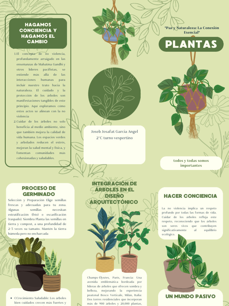 Folleto Tríptico Consejos Para Cuidar A Tus Plantas Ilustrado Verde