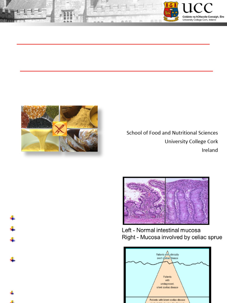 Advances in Gluten Free Cereal Research | PDF | Gluten Free Diet ...