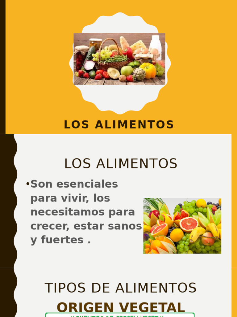 Tipos de Alimentos: Orígenes y Beneficios | PDF