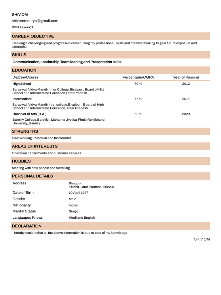 Resume SHIV Format6 | PDF