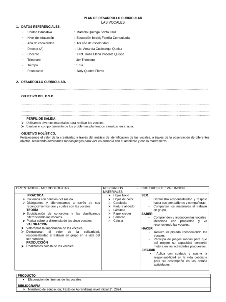 Plan de Diseño Curricular Nely Quenta | PDF | Educación de la primera infancia | Maestros