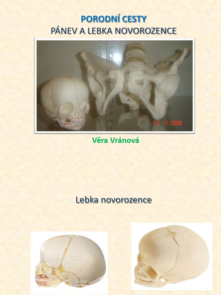 3 - Porodní Cesty A Lebka Novorozence - 053655 | PDF
