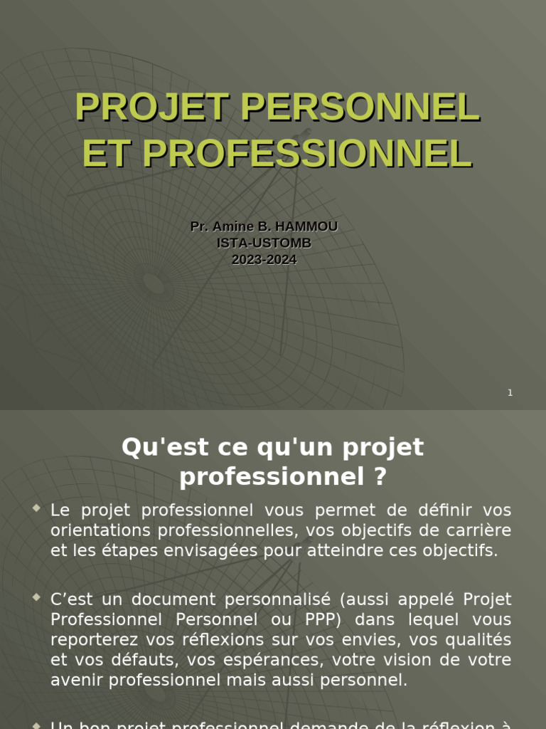PPP Cours Introduction | PDF