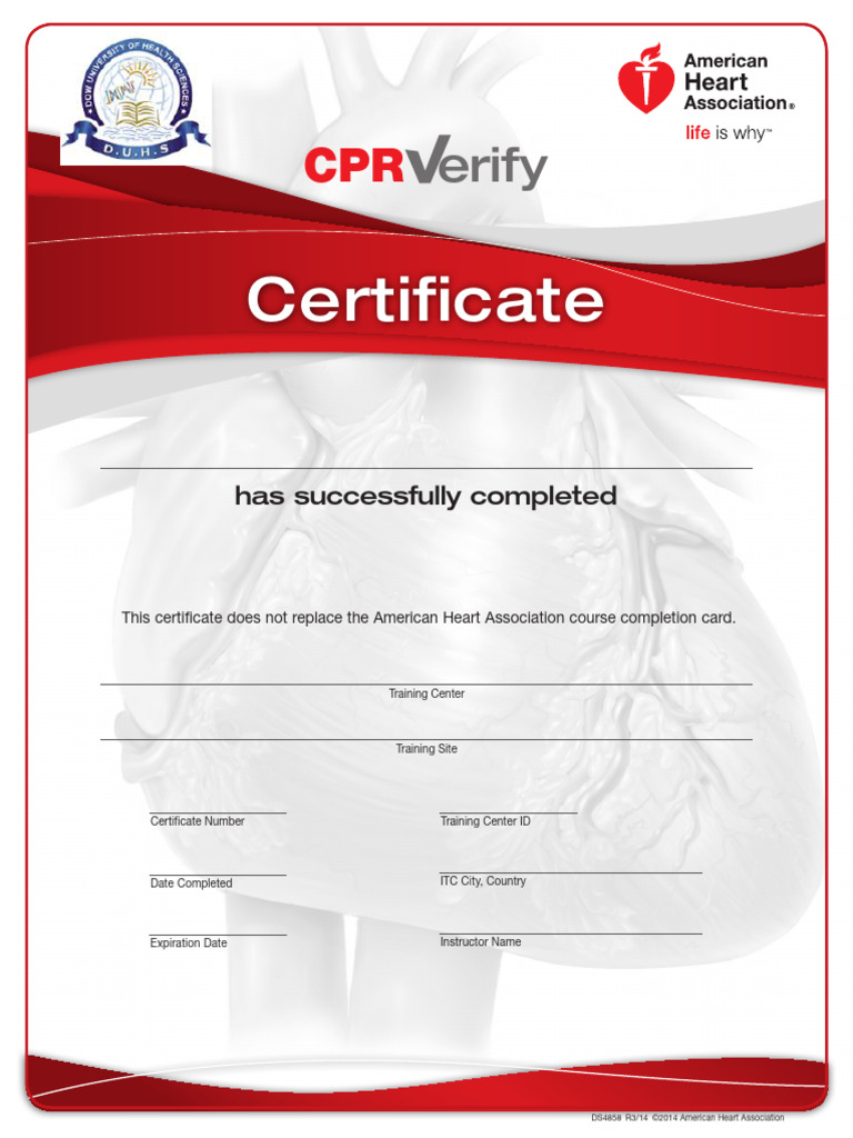 Certificate: Erify | PDF