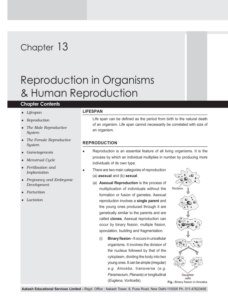 Reproduction in Organisms & Human Reproduction-Merged-1 | PDF | Uterus ...
