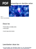 Tekenregels Biologie Microscoop Preparaat | PDF