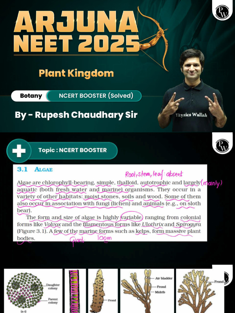 Lec NCERT Booster Solved Plant Kingdom Botany Arjuna NEET 2025 | PDF
