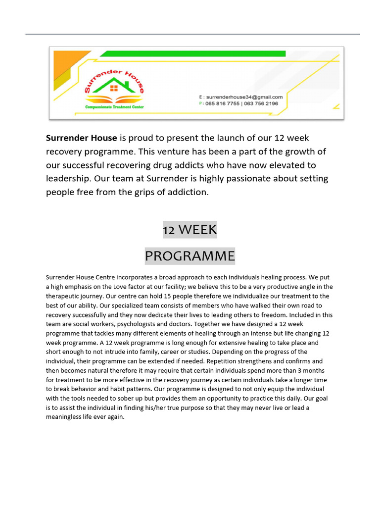 SBT1 | PDF | Substance Abuse | Twelve Step Program