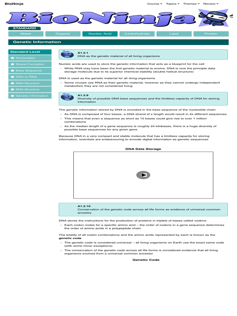 Genetic Information 2 | PDF | Nucleic Acid Sequence | Dna