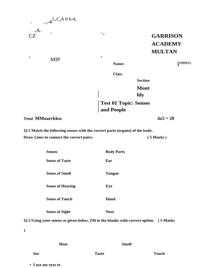 Science Test 1 | PDF | Senses | Neuroscience