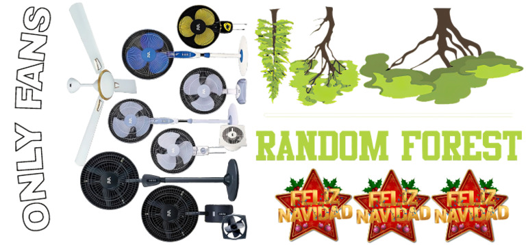 OnlyFans 24112024 | PDF