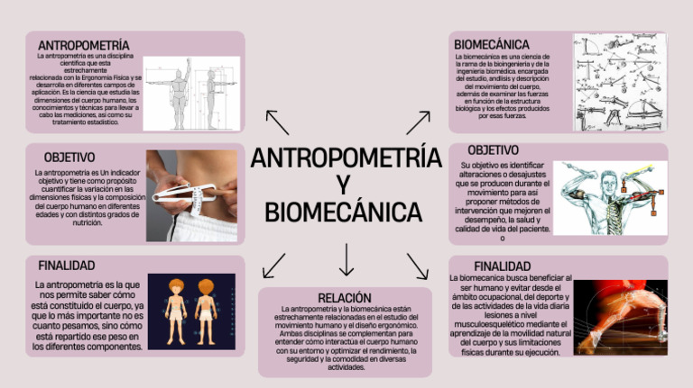 Mapa Mental Ergonomia | PDF | Antropometría | Factores humanos y ergonomía