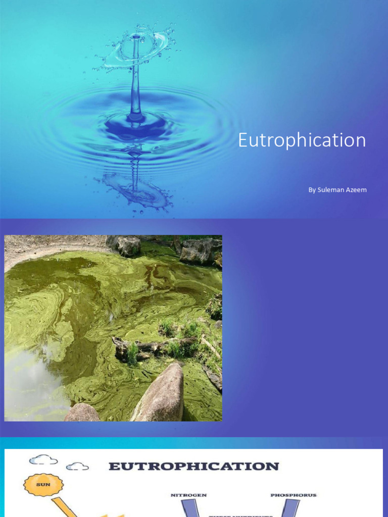 Eutrophication: by Suleman Azeem | PDF | Eutrophication | Dead Zone ...