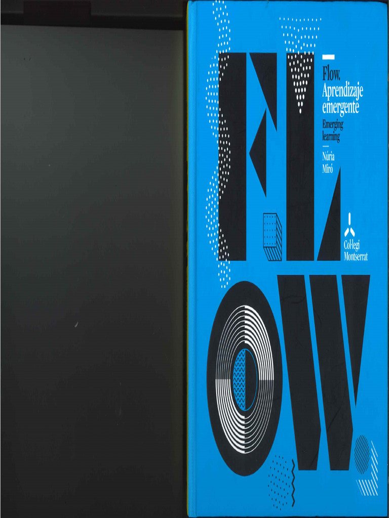 Flow - Extracto Del Libro | PDF