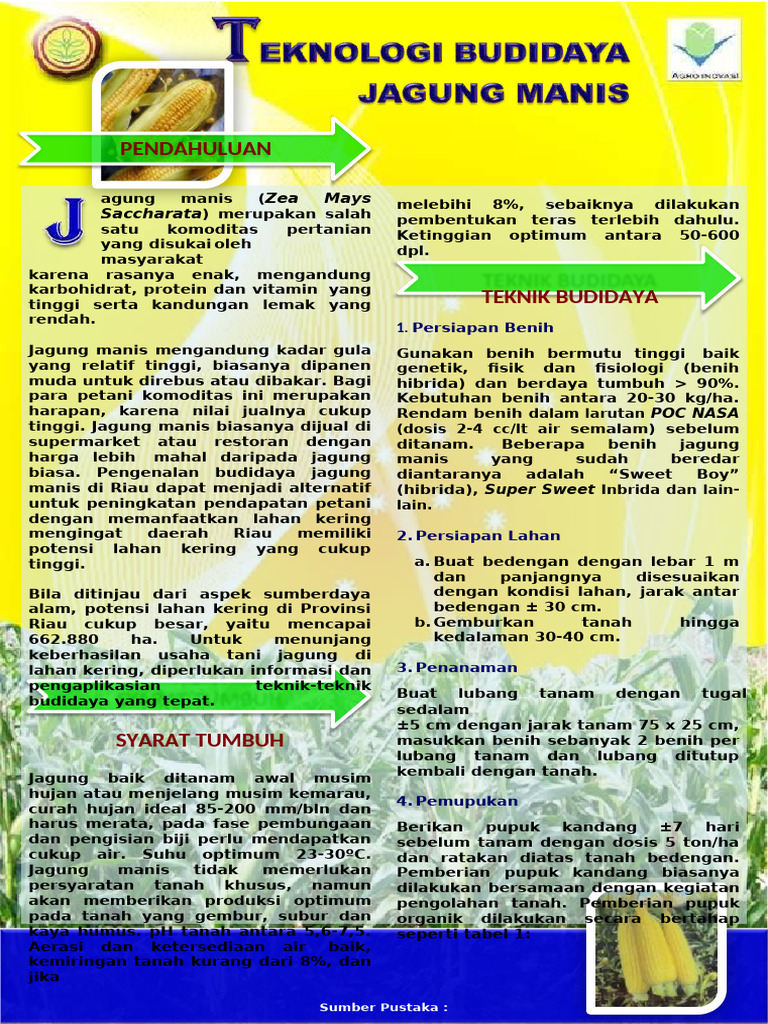 Budidaya Jagung Manis MAINA | PDF