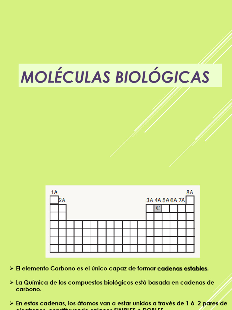 Estructura y Funciones de Moléculas Biológicas | PDF | Carbohidratos ...