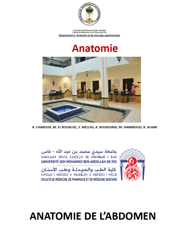 Anatomie de la cavité abdominale | PDF | Péritoine | Abdomen