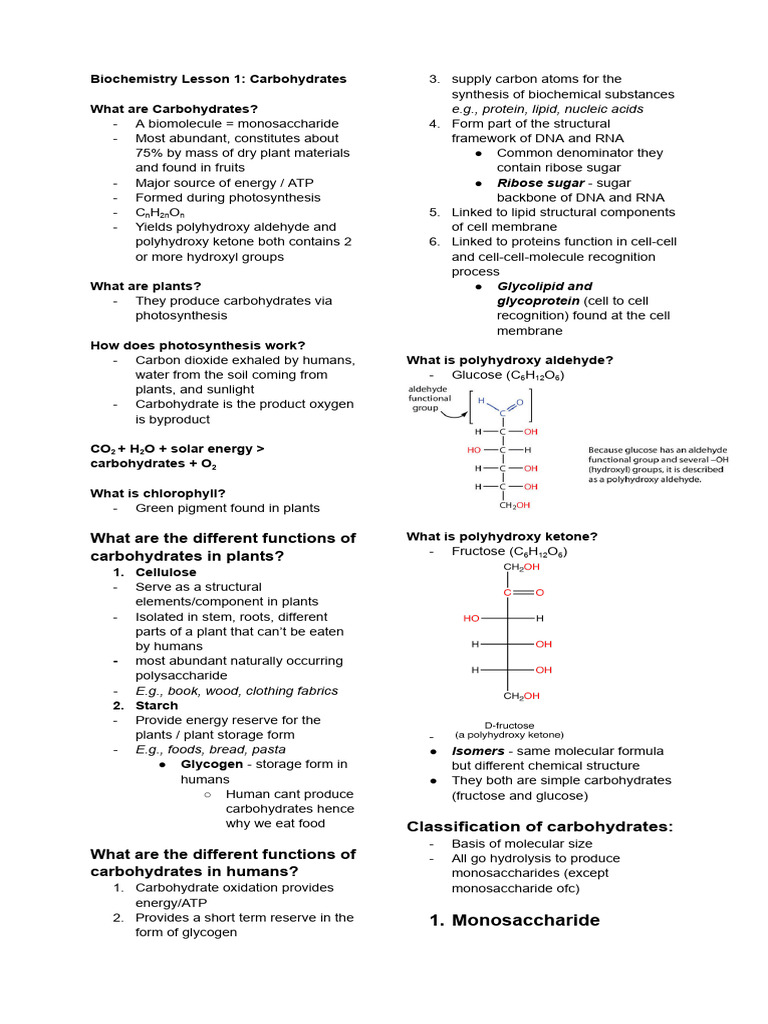 Carbohydrates: Structure and Functions | PDF | Carbohydrates | Glucose