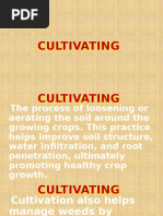 Proper Ways of Cultivation | PDF