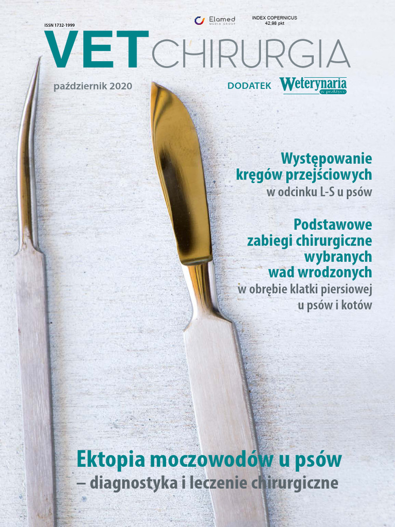 Dodatek Chirurgiczny 2020-1 | PDF