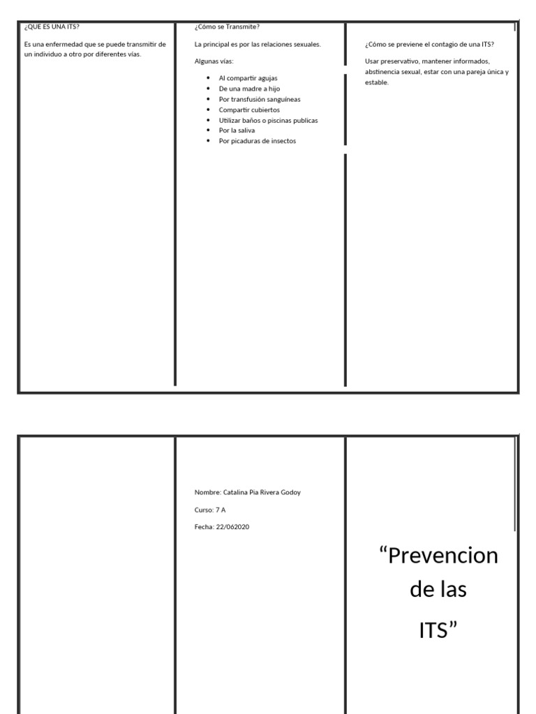 Triptico Que Es Una Its | PDF