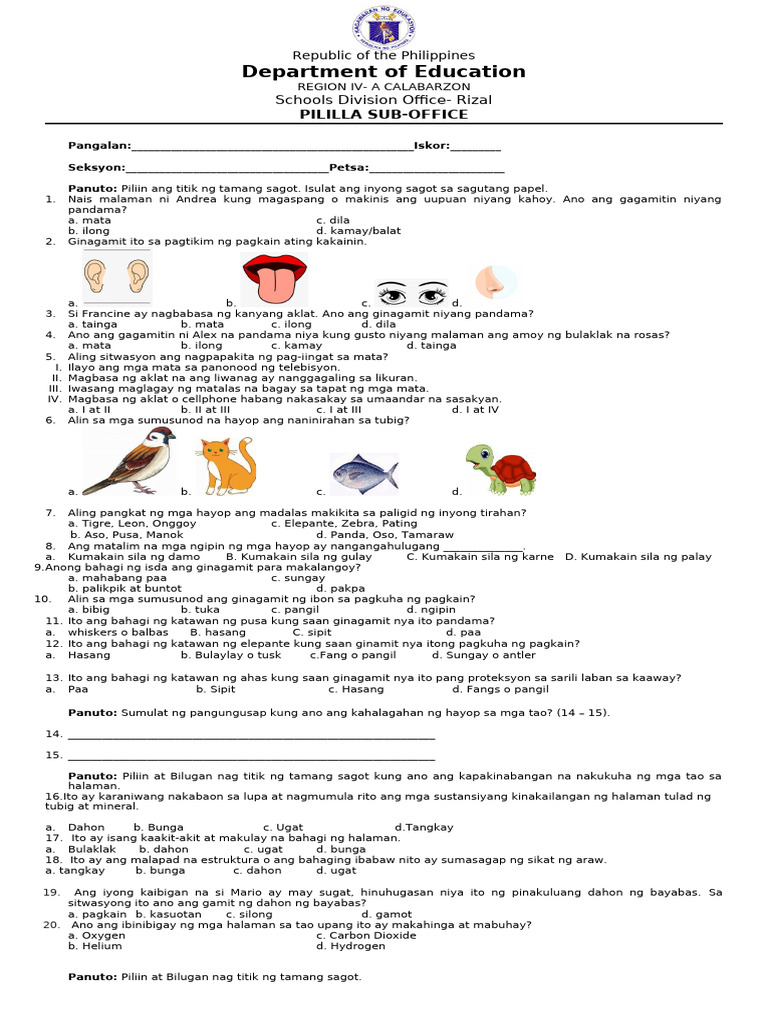 SUMMATIVE TEST in SCIENCE 3 | PDF