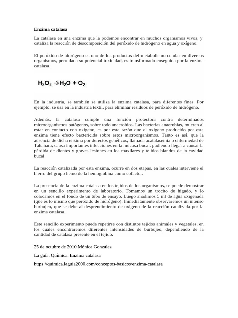 Función y usos de la enzima catalasa | PDF
