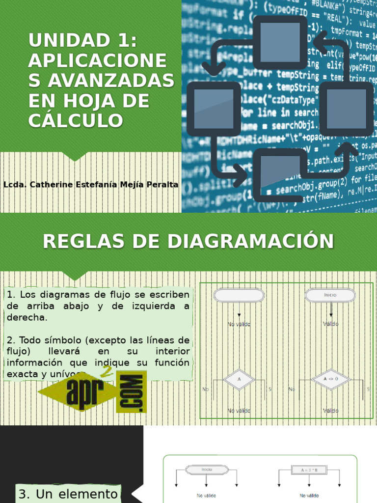 1.6 Reglas de Diagramación - Variables y Operadores Aritméticos | PDF | Poco | Decimal