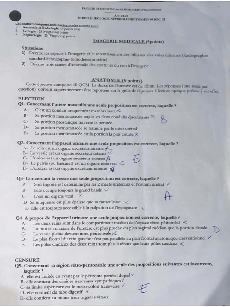 Examen Uro-Néphro 2023 | PDF