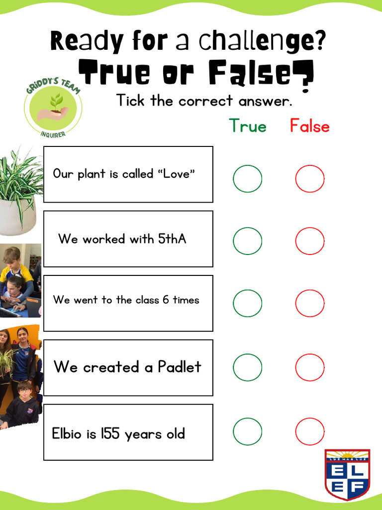 True or False Quiz: Class Activities | PDF