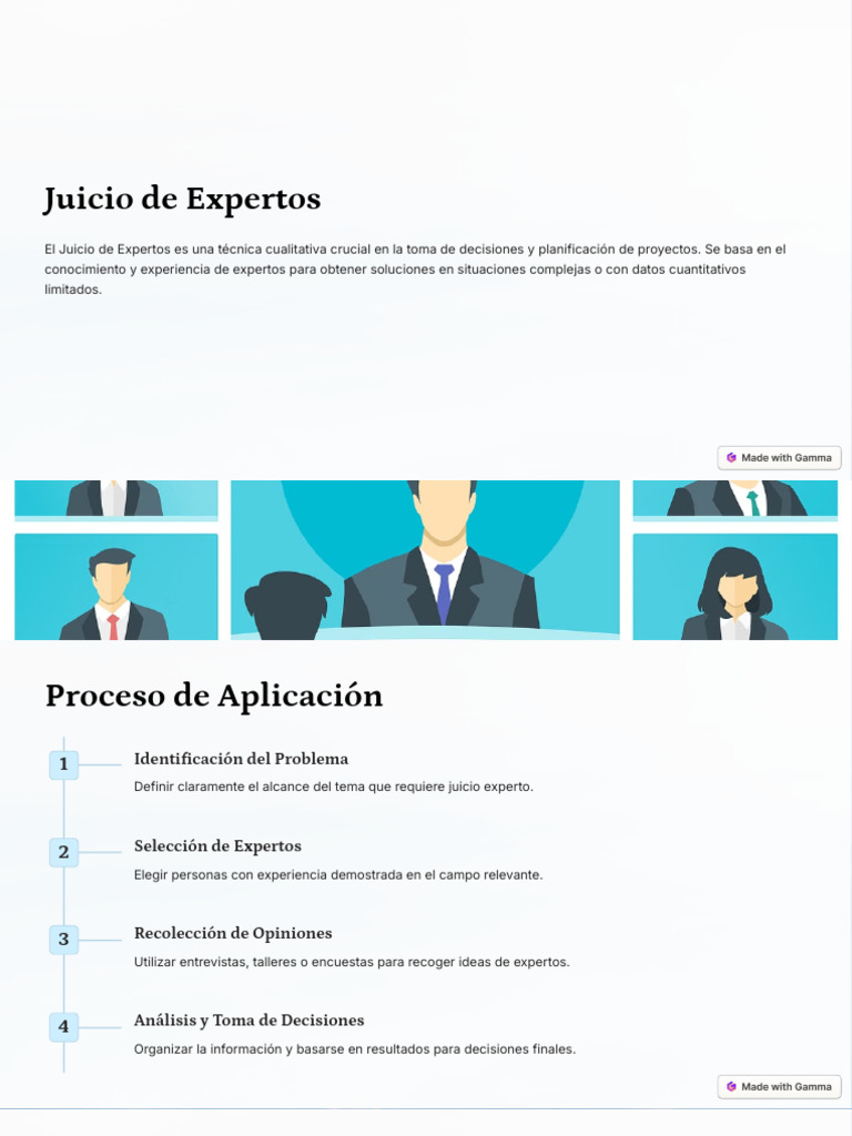 Juicio de Expertos | PDF | Toma de decisiones | Investigación cuantitativa