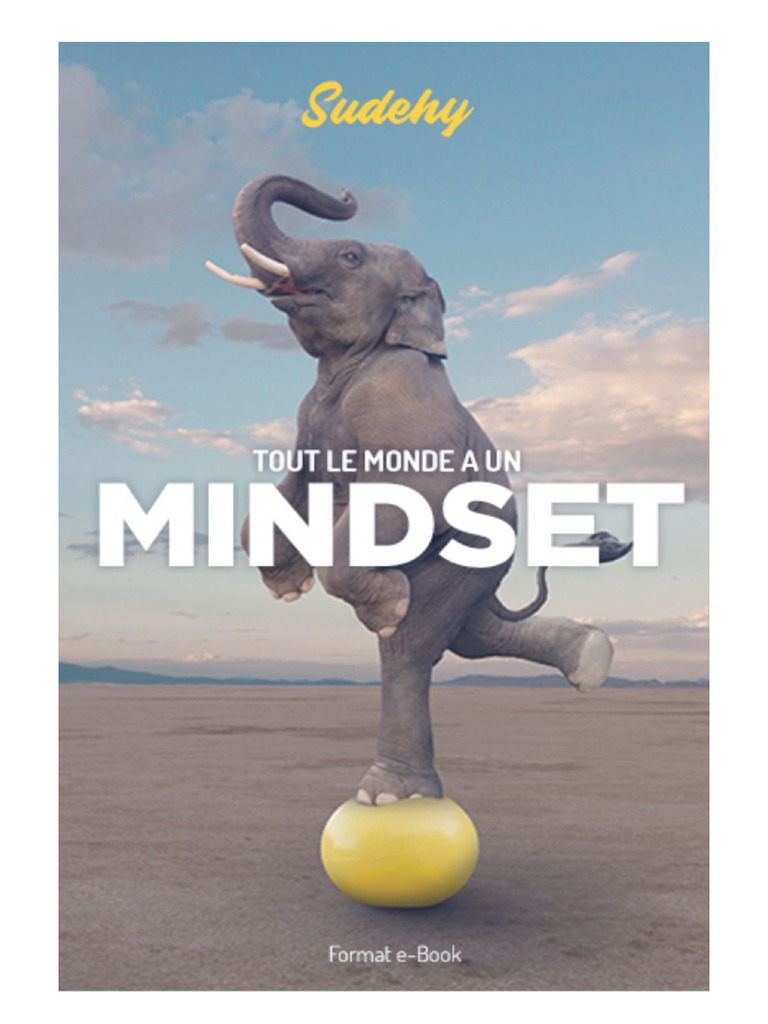 Mindset Pdf