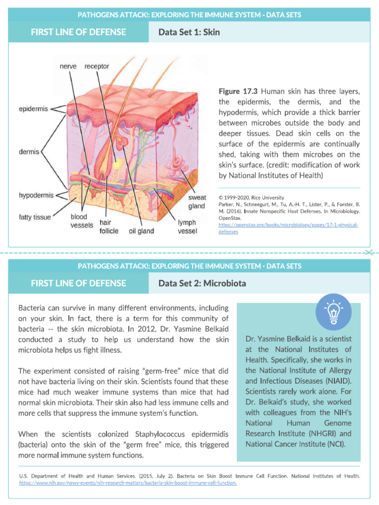 Data Set Information On Cellular Scince | PDF