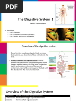 1-GIT Functional Anatomy of GIT - Dr. Gagare Dnyanesh | PDF | Human ...