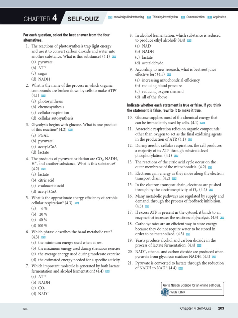 Bio12 c04 SQ PDF | PDF | Cellular Respiration | Metabolism