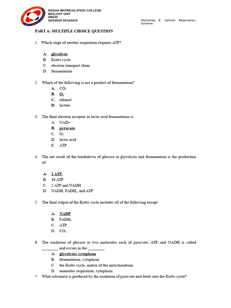 Workshop 8 PDT 3 | PDF | Cellular Respiration | Electron Transport Chain