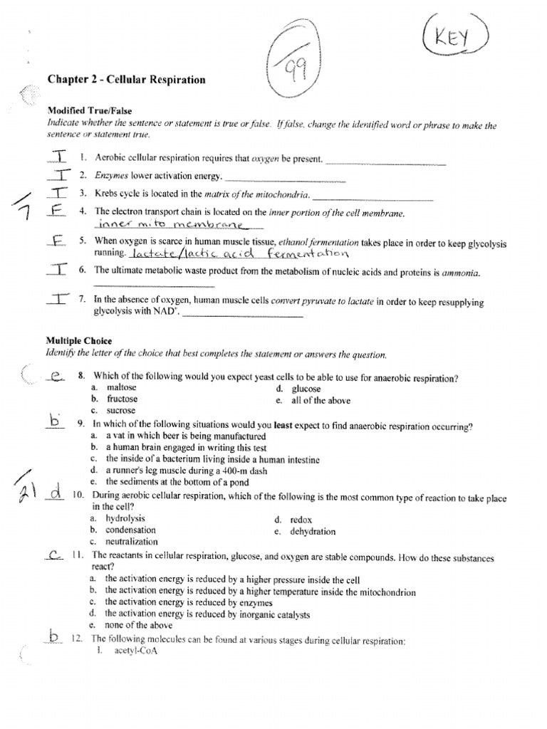 Ch. 2 Test Solutions PDF | PDF