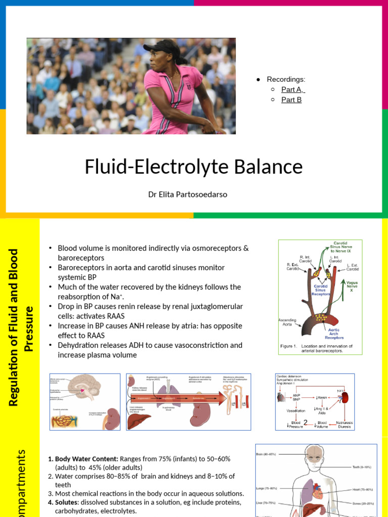 17 Fluid and Electrolyte Balance | PDF | Capillary | Kidney