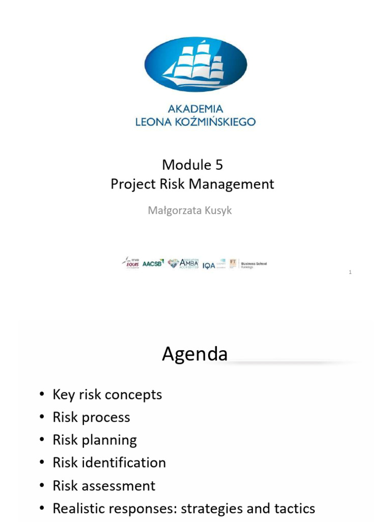 Project Risk Management - TMA4 | PDF | Risk | Risk Aversion