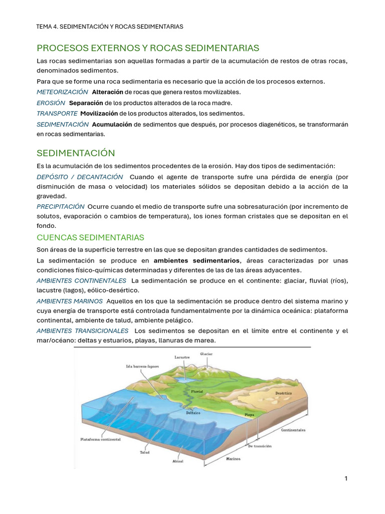 Geo T4 | PDF | Roca clástica | Roca sedimentaria