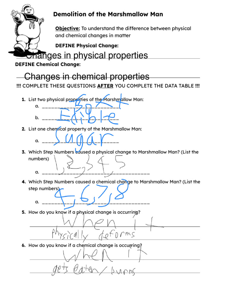 Understanding Changes in Marshmallows | PDF